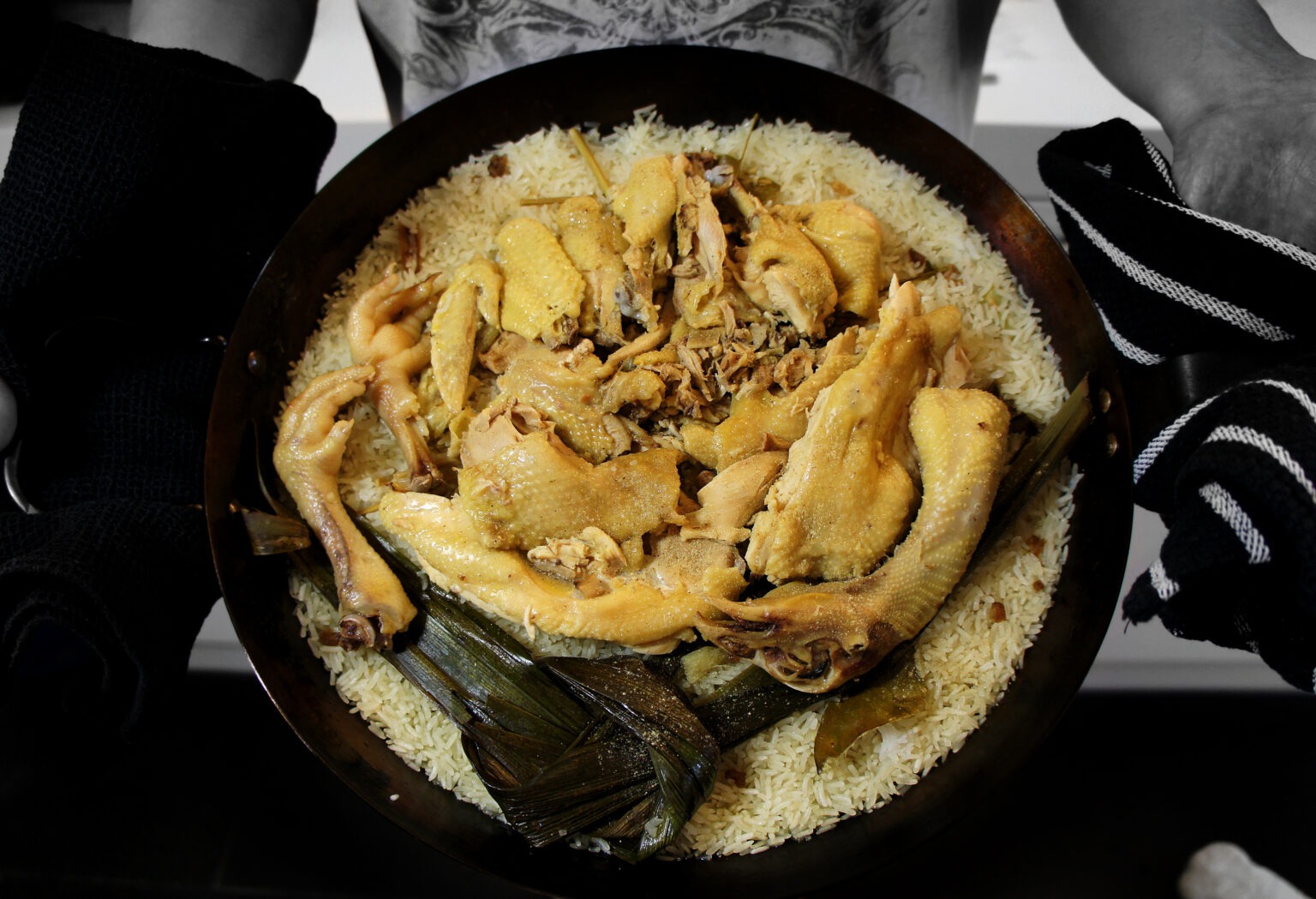 A Confused Chicken Rice – Lady and Pups