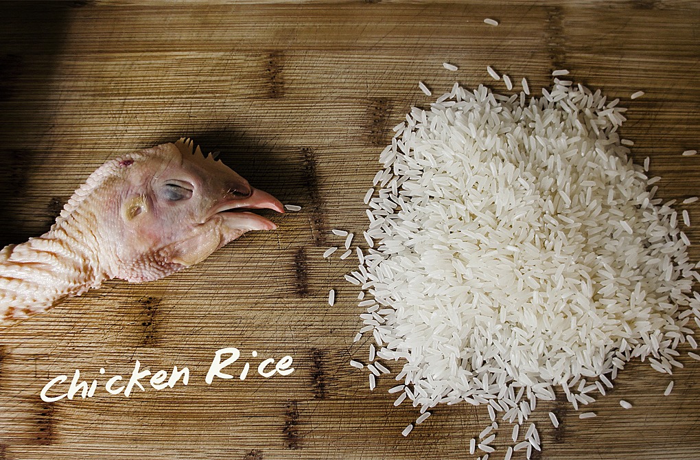 A Confused Chicken Rice – Lady and Pups