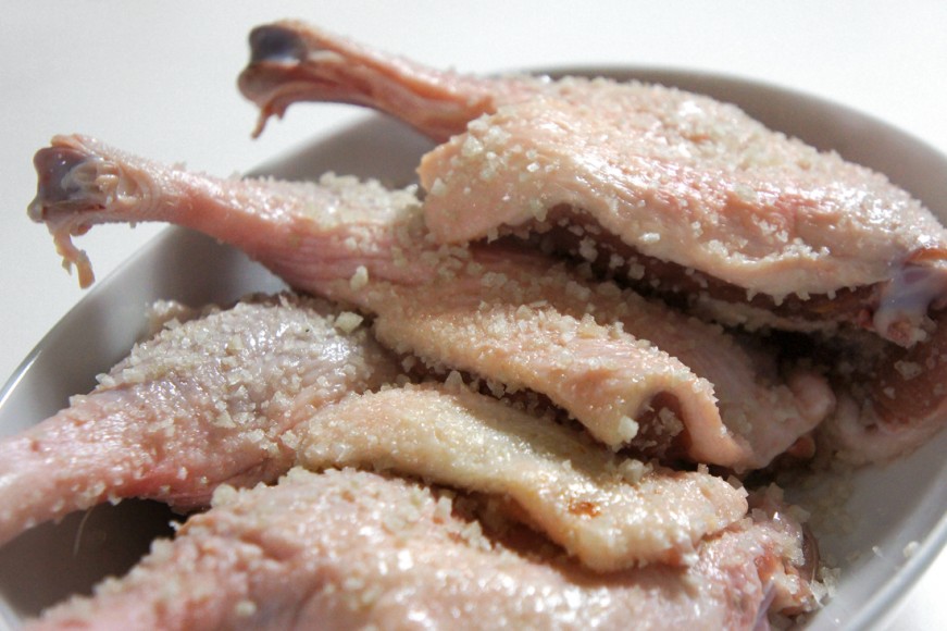 Creamy Duck Rillette – Lady and Pups