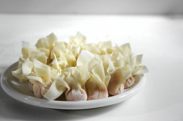 Wontons for Him – Lady and Pups