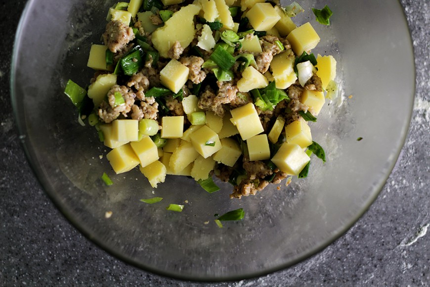 chicken in the swamp – Lady and Pups