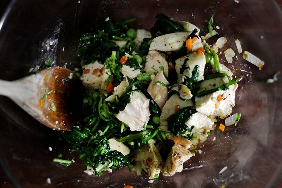 chicken in the swamp – Lady and Pups