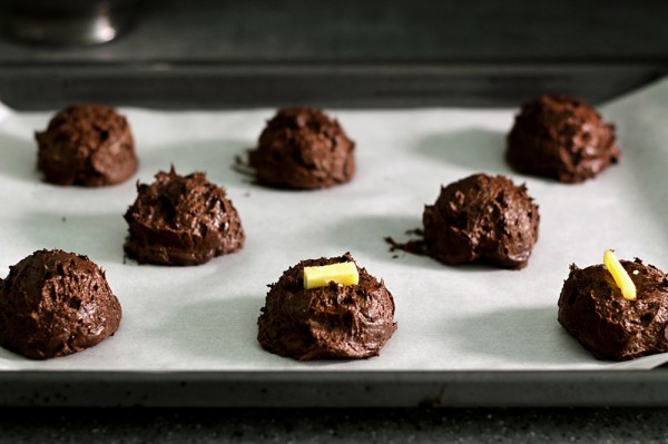 likely pairing dark chocolate & gouda cookie – Lady and Pups