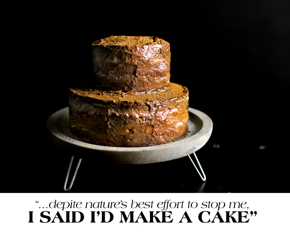 FAKE CHOCOLATE CAKE + REAL BANANA BUTTERCREAM – Lady and Pups