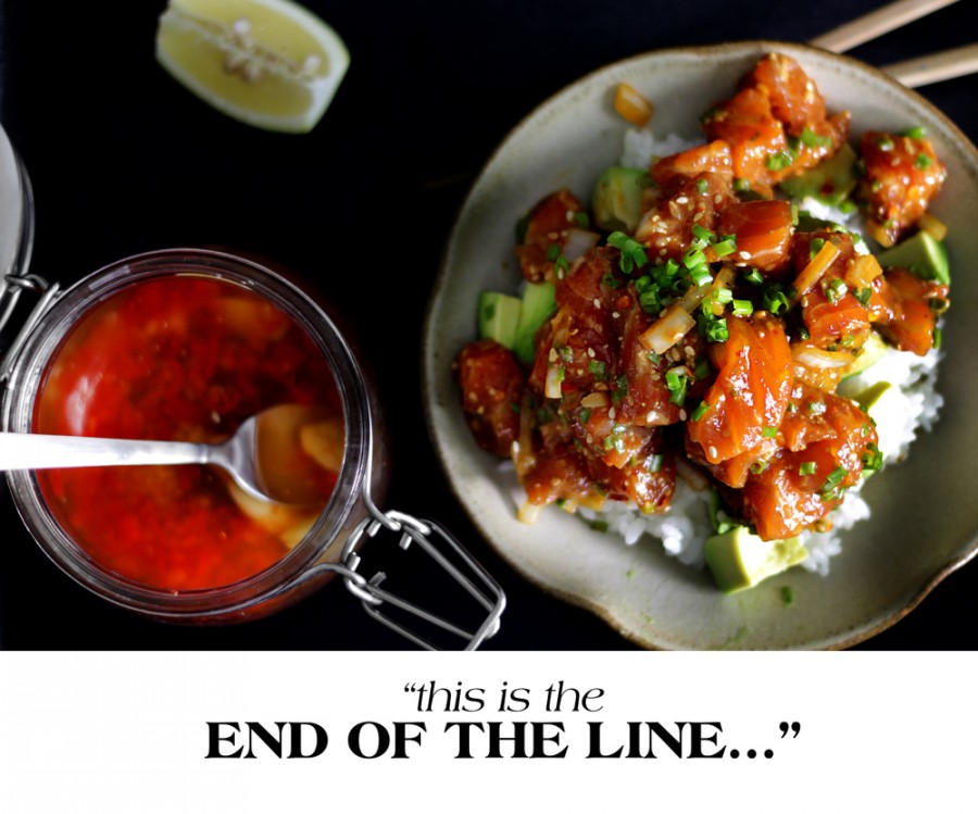 SALMON POKE-D YOU. YOU SHOULD POKE BACK – Lady and Pups