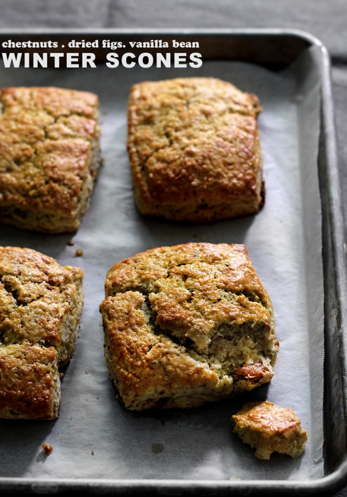 PERFECT… WINTER SCONES – Lady and Pups