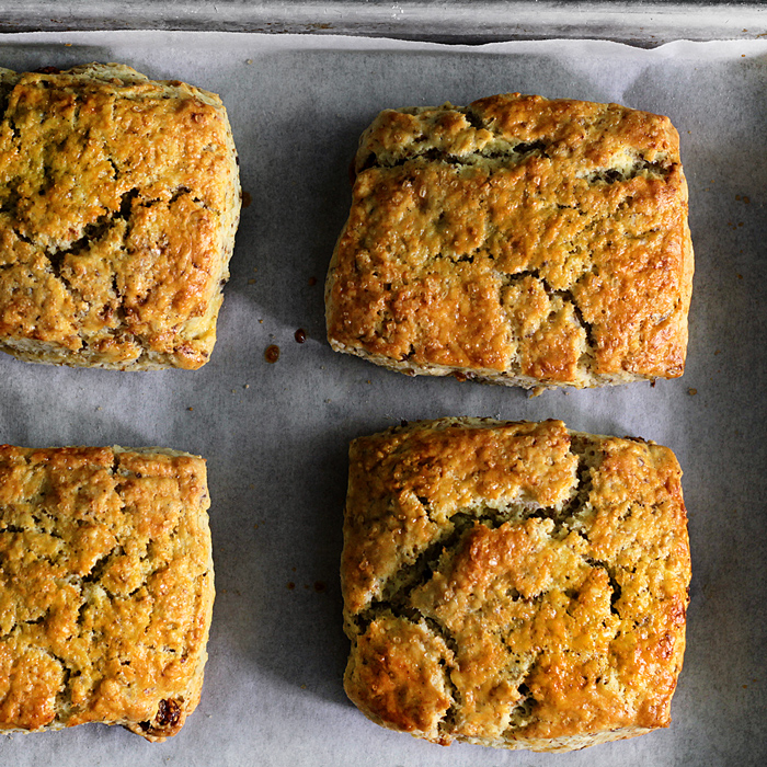 PERFECT… WINTER SCONES – Lady and Pups