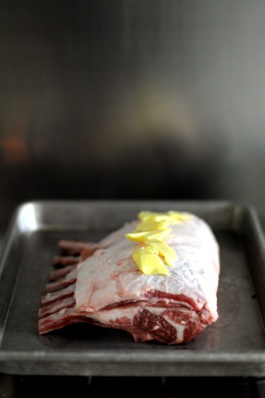 WORLD’S EASIEST SEXY RACK – Lady and Pups