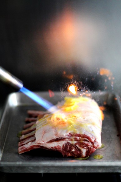 WORLD’S EASIEST SEXY RACK – Lady and Pups