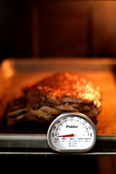 WORLD’S EASIEST SEXY RACK – Lady and Pups