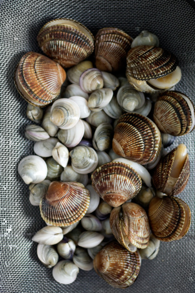 THAI SPICY BRINY COCKLE SALAD