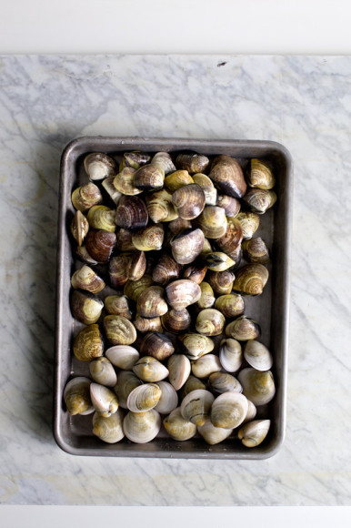 MY BIG, FAT, SPICY KOREAN CLAM CHOWDER