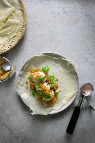 THE PARADOX OF ICE CREAM-SPRING ROLL W GROUND PEANUT BRITTLE