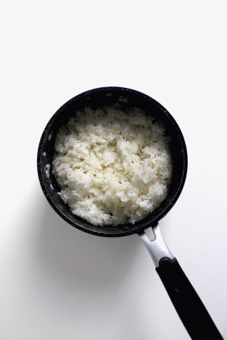 HOW TO ACTUALLY COOK PERFECT RICE WITHOUT A RICE-COOKER - Lady and Pups