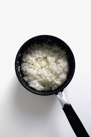 HOW TO ACTUALLY COOK PERFECT RICE WITHOUT A RICE-COOKER - Lady and Pups