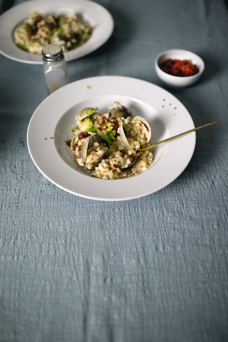 CLAM CHOWDER RISOTTO W/ CELERY PROSCIUTTO SALT – Lady and Pups