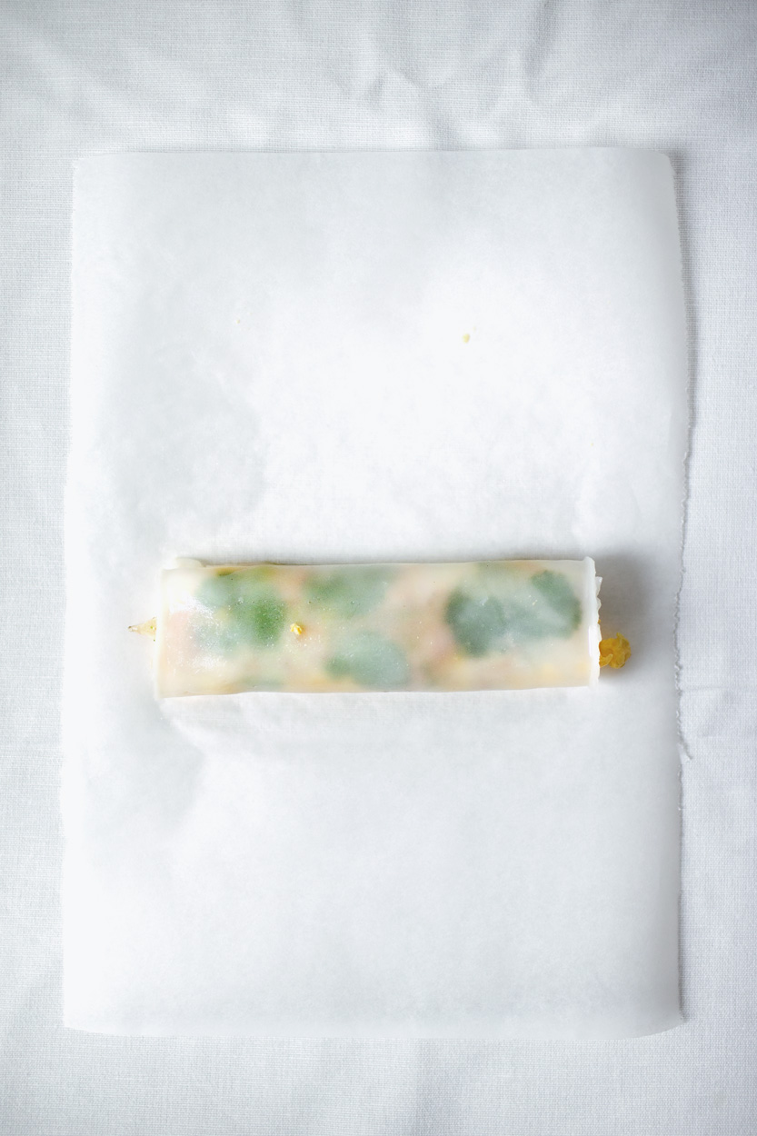 DIM SUM MONTH: Creamy salmon & egg in rice wrapper rolls – Lady and Pups