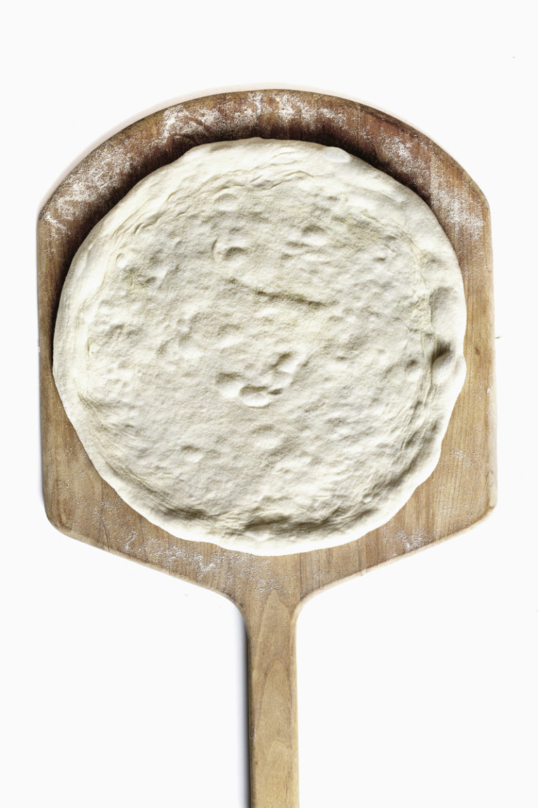 SPRING CREAM PIZZA – Lady and Pups