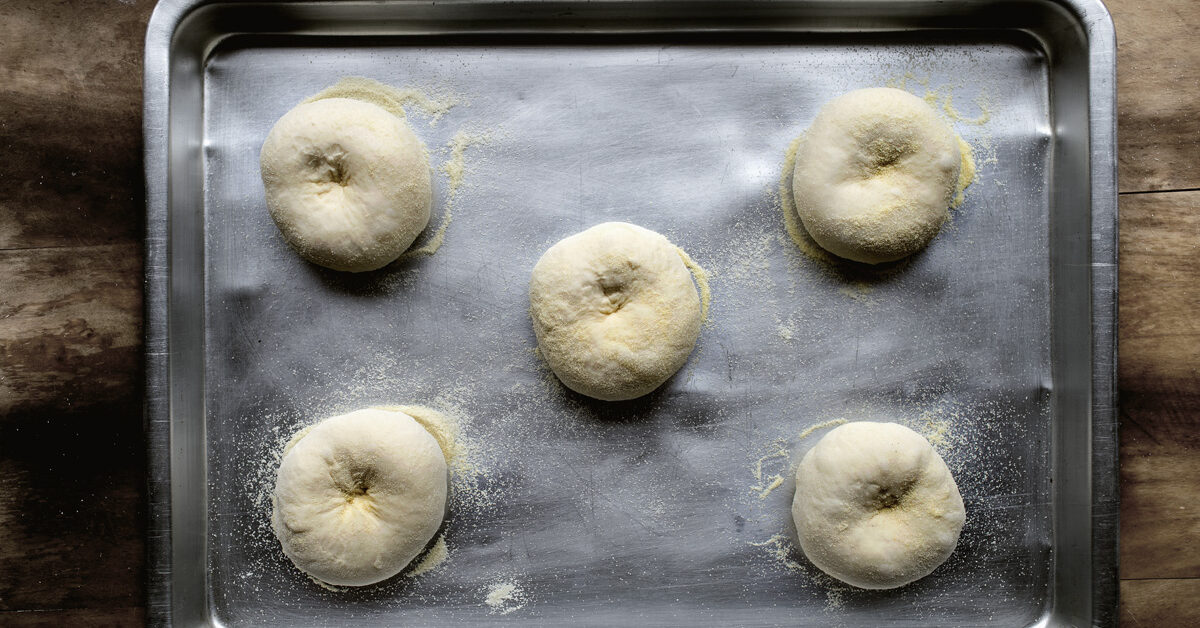 BIALY STUFFED W/ CREAM CHEESE AND HONEY DATES – Lady and Pups