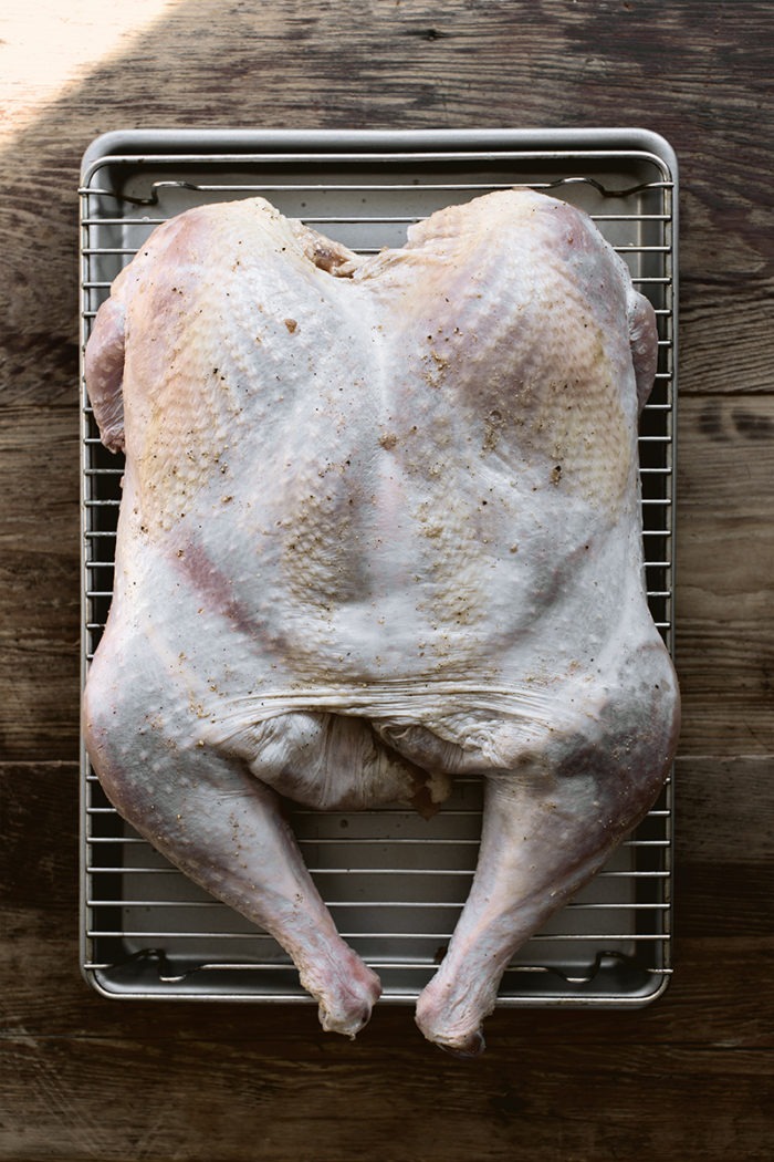 Boneless “turkey purse” w/ stuffings and peppercorn gravy – Lady and Pups