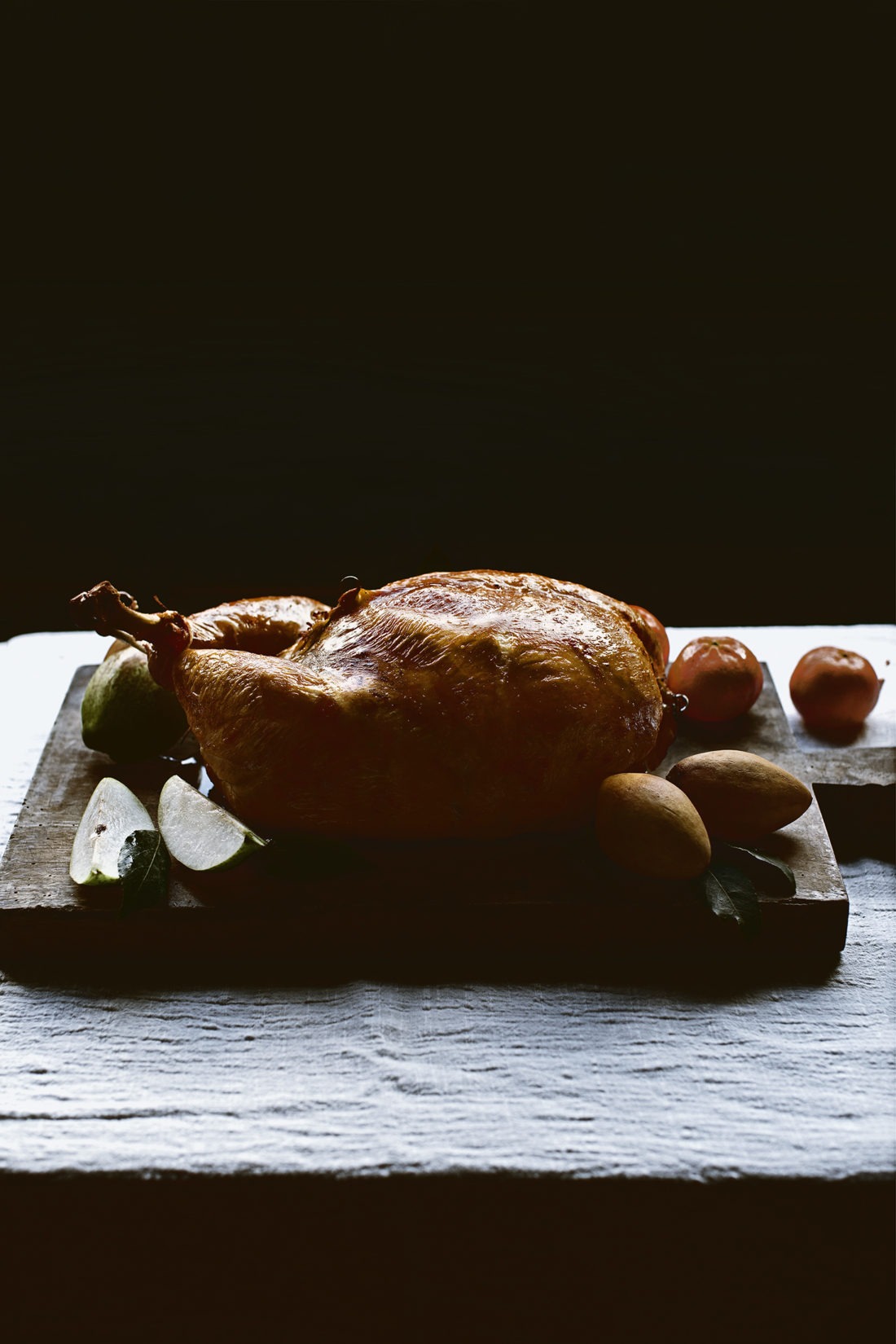 Boneless “turkey purse” w/ stuffings and peppercorn gravy – Lady and Pups