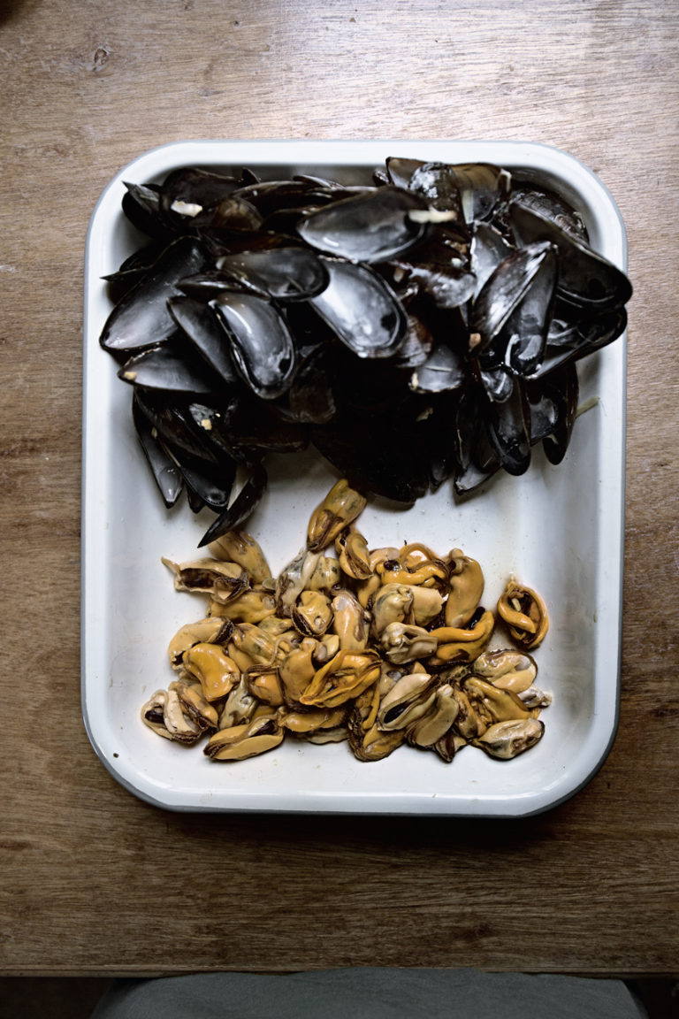 Spicy mussel and burnt mushroom toast w/ broth – Lady and Pups