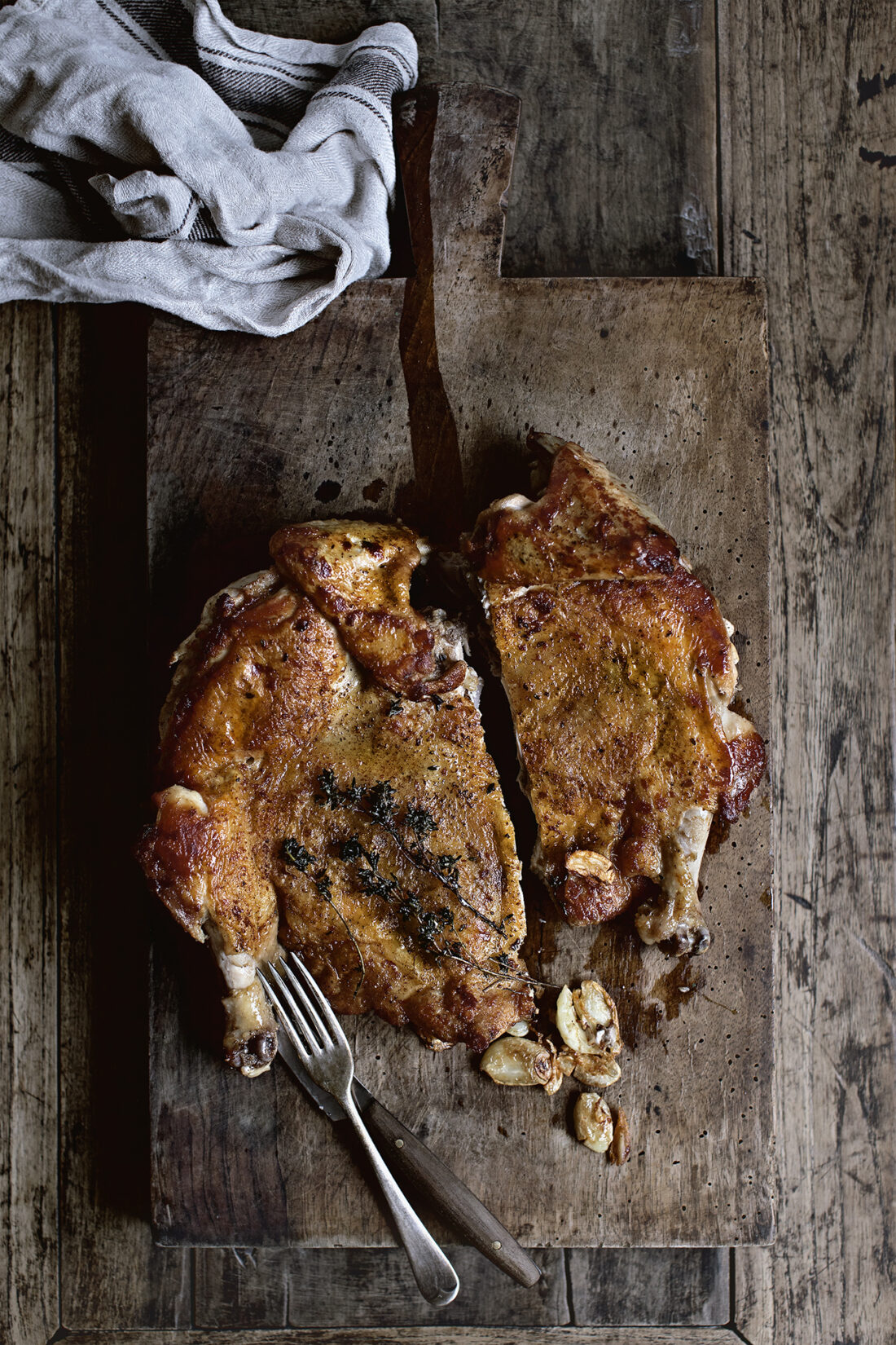 Flatten the curve (bird) – Lady and Pups