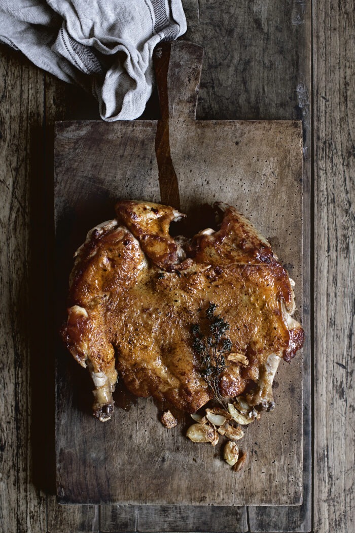 Flatten the curve (bird) – Lady and Pups