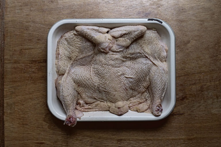 Flatten the curve (bird) – Lady and Pups